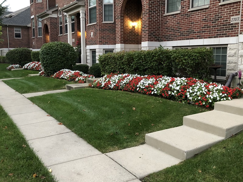 How to Design with Beacon® Impatiens