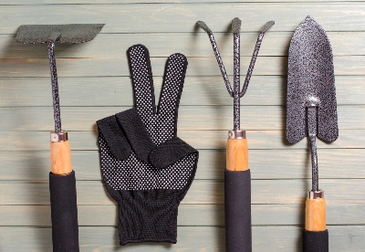 Tools You Need for Fall Cleanup